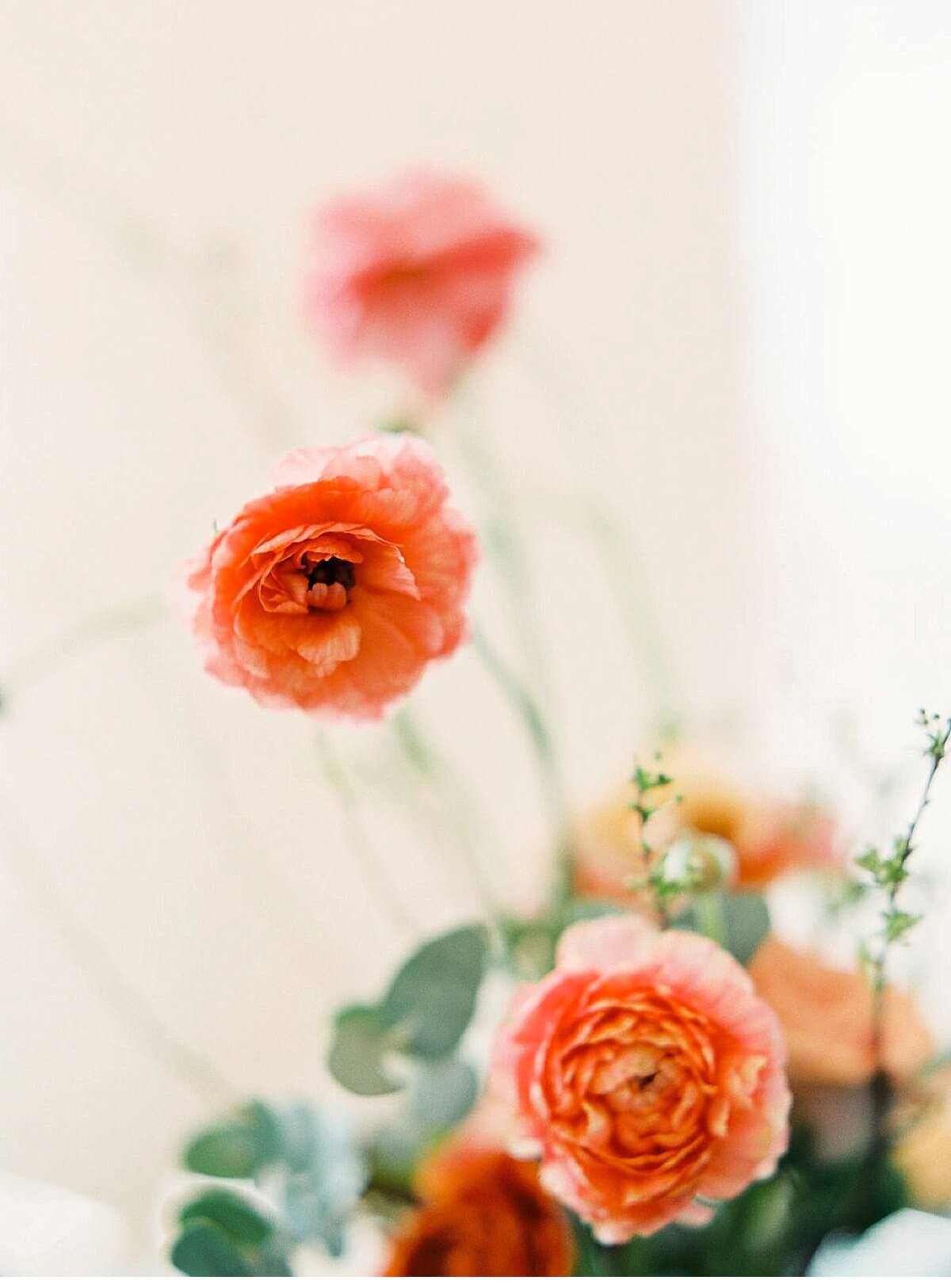 Modern Spring Colors Inspirations by Sarah Windecker Photography ...